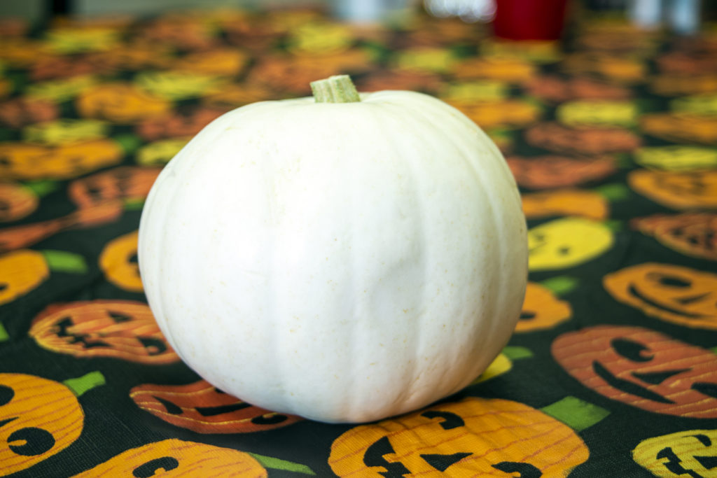 3 Alternate Pumpkin Decorating Strategies from USCutter for Halloween ...